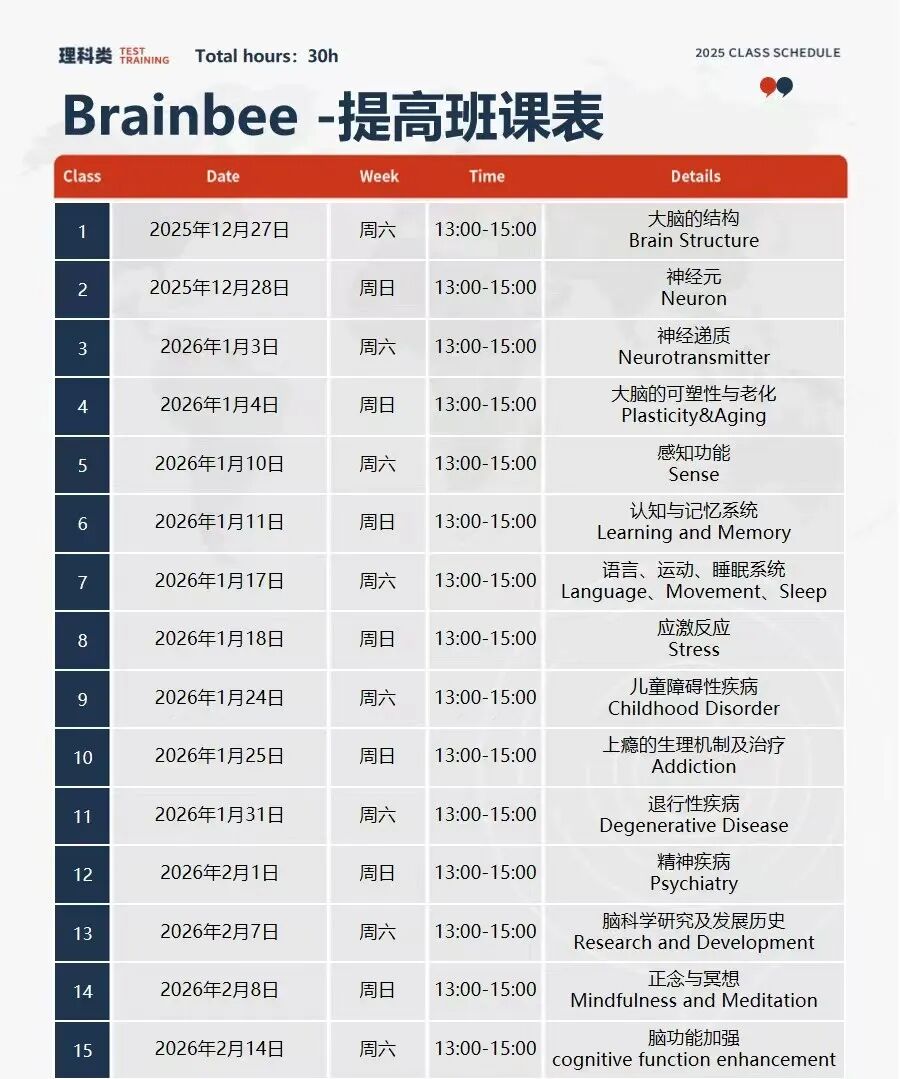 Brain Bee脑科学活动指南！相关规则、奖项设置、含金量、备赛攻略！ - 国际教育联盟